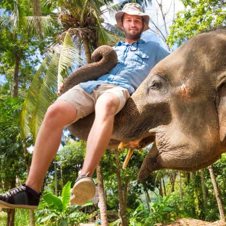 How Strong Are Elephants? (Survival Skills In The Wild)